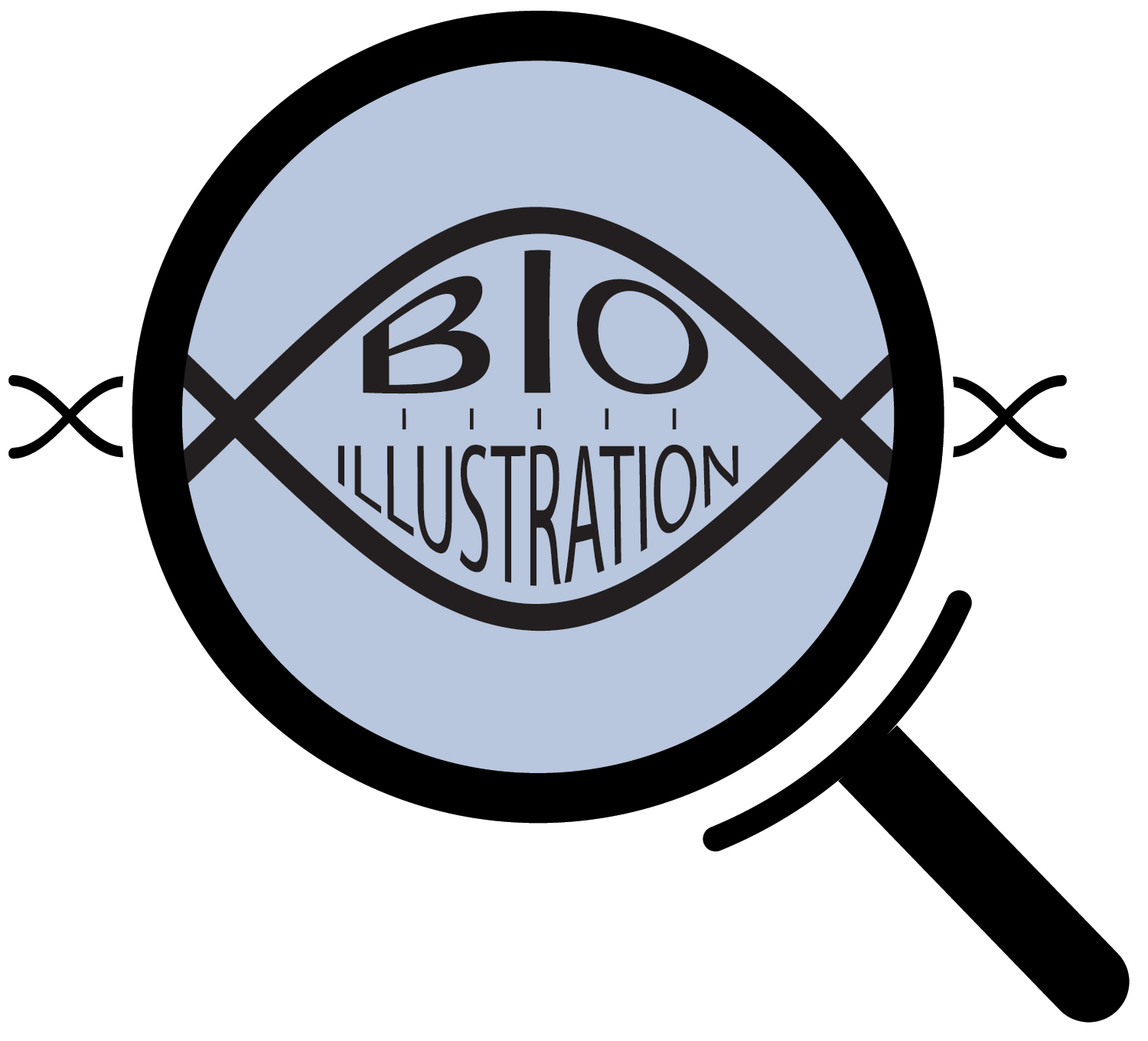 Bioillustrations – Professional custom biological illustrations